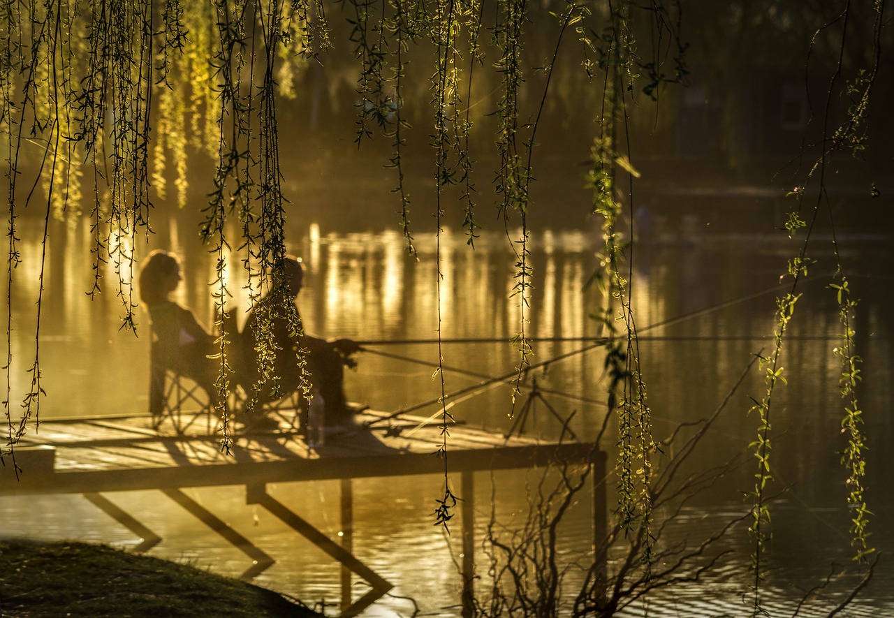 Discover Tranquility at Pierz Fish Lake: A Hidden Gem in Central ...
